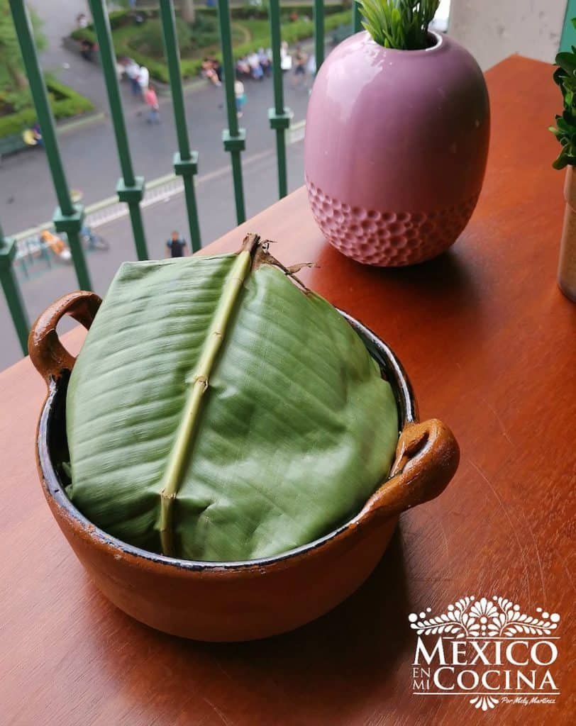 LA PAPATA O PAPATLA – Misantla MX